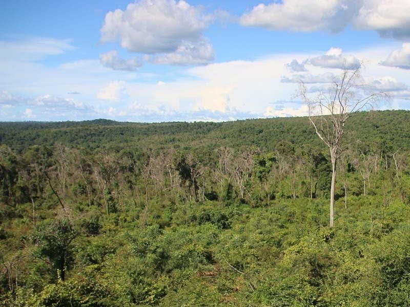 vivarays's Impact with Greenspark