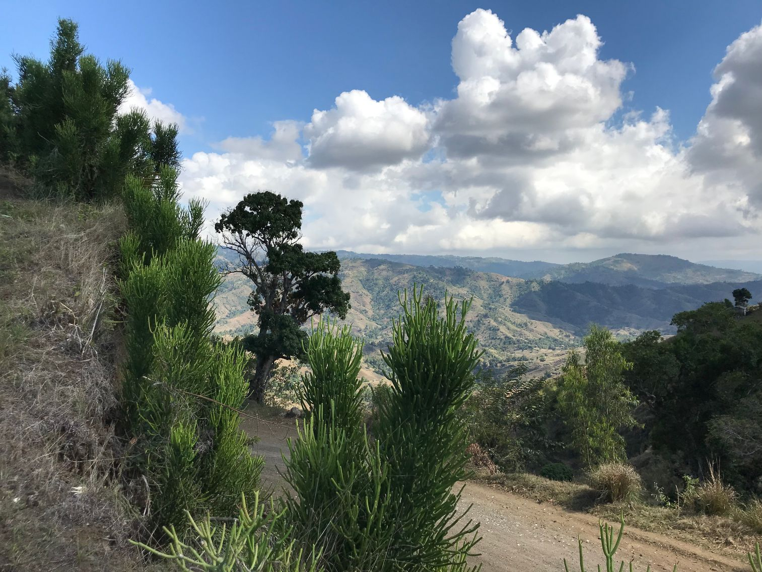 Impact with Greenspark